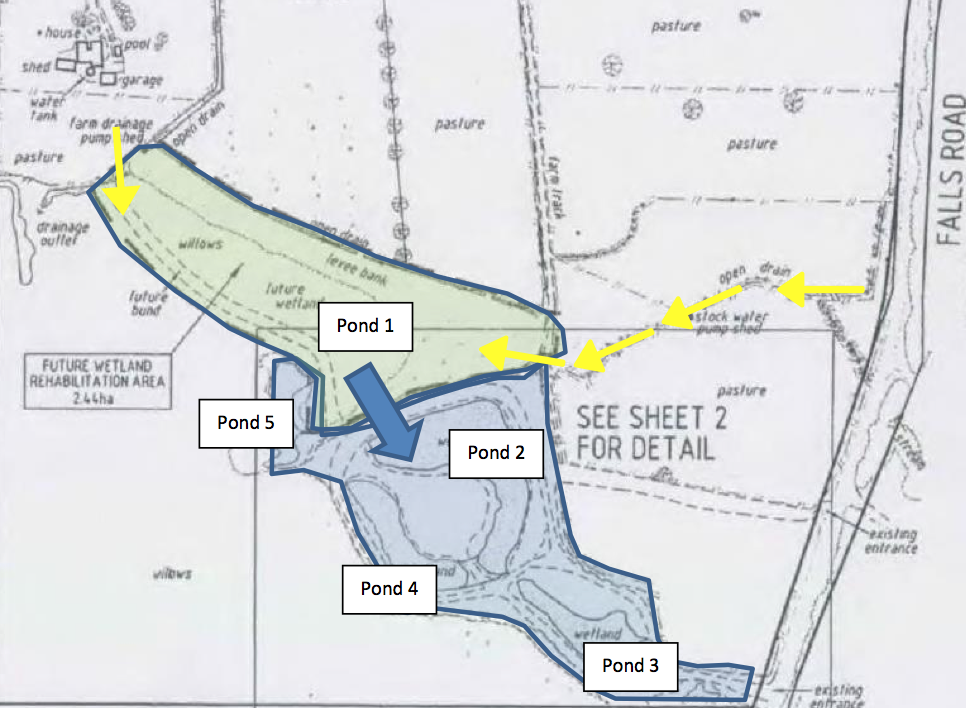Quarrying innovation protects and strengthens wetlands - Quarry