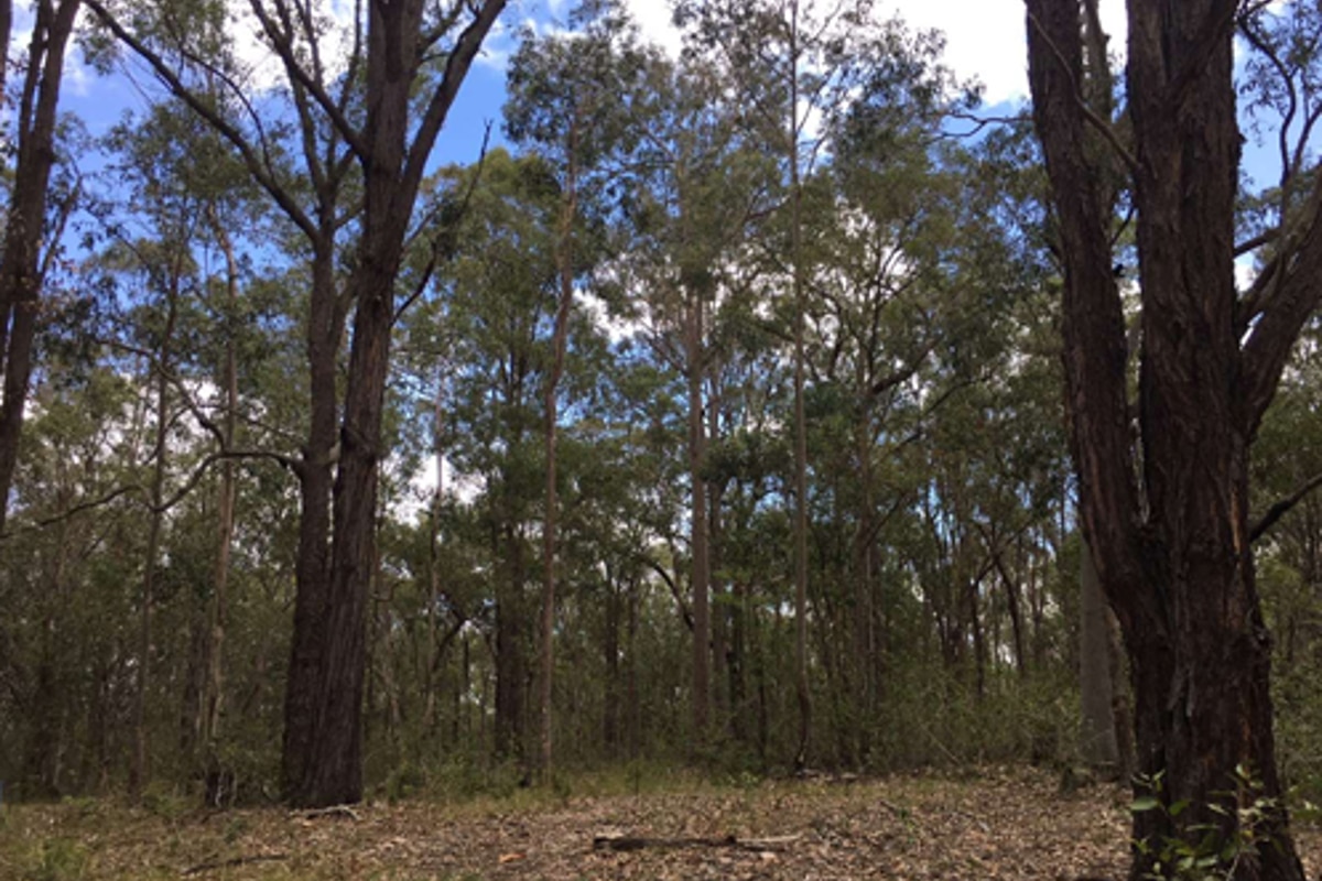 Eagleton Quarry granted approval - Quarry